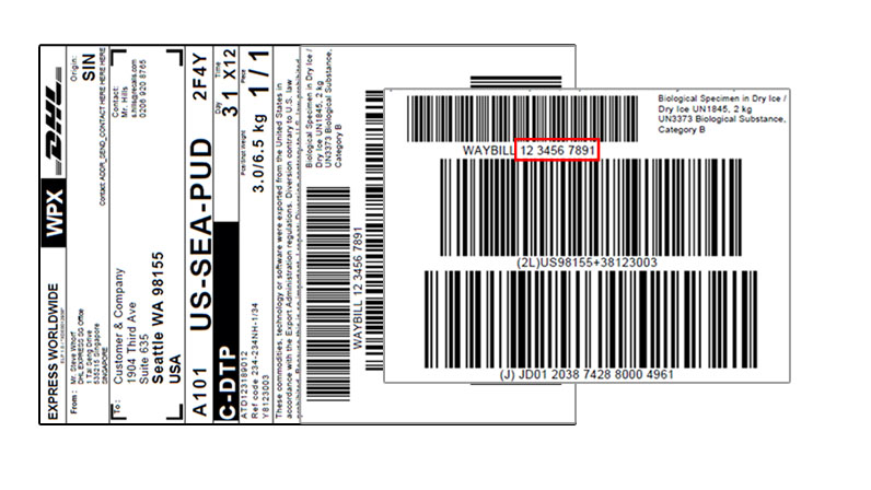 DHL Tracking Track Your Shipment FlyBaboo